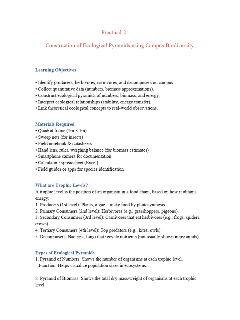 Practical Ecological Pyramids Handout Final Updated | PDF | Biomass ...