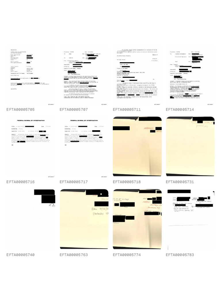 Epstein Files Browser Vol 4 | PDF