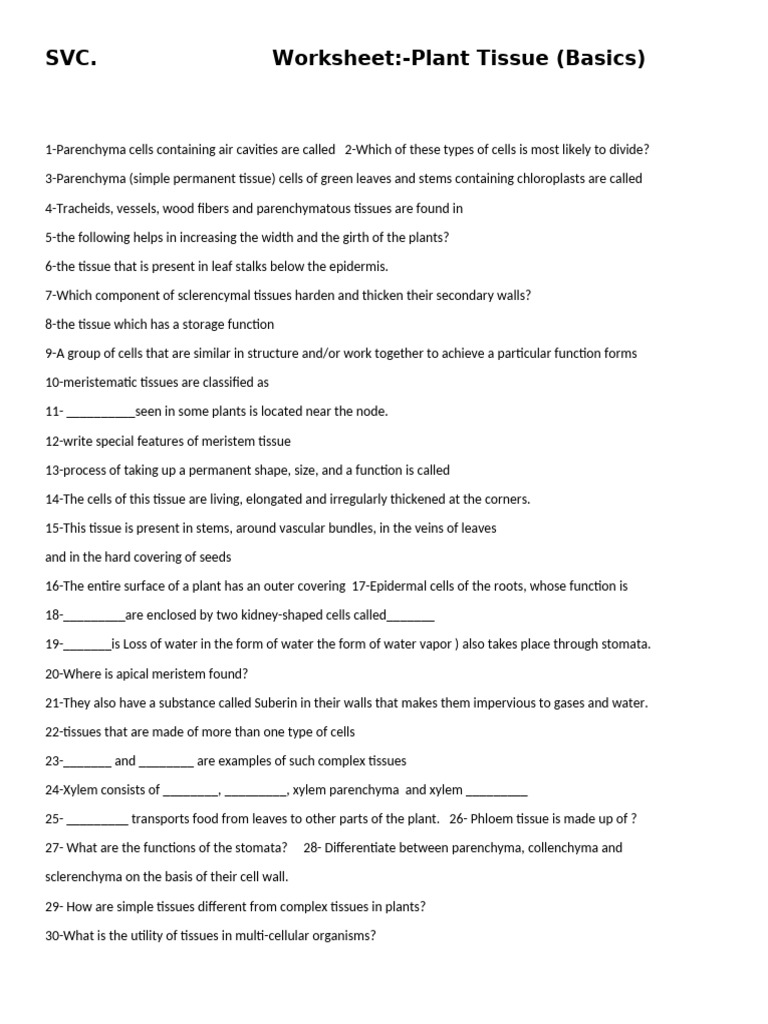 Plant Tissue Worksheet July 16 22 | PDF