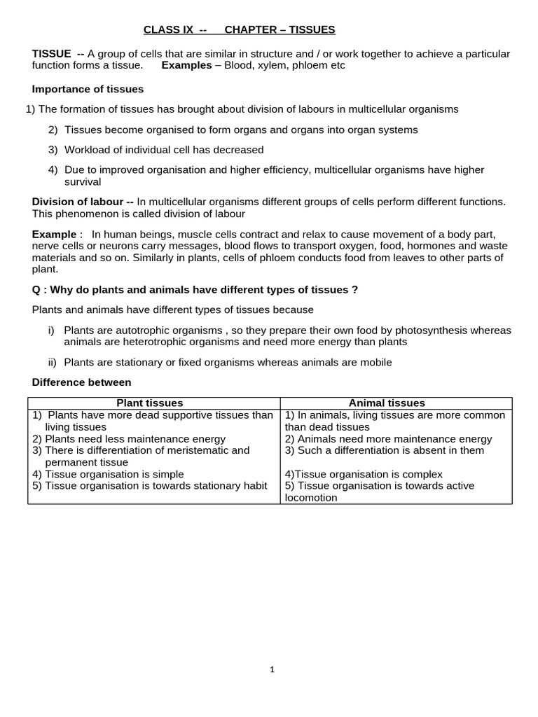 Tissues Notes With Diagram | PDF | Epithelium | Tissue (Biology)