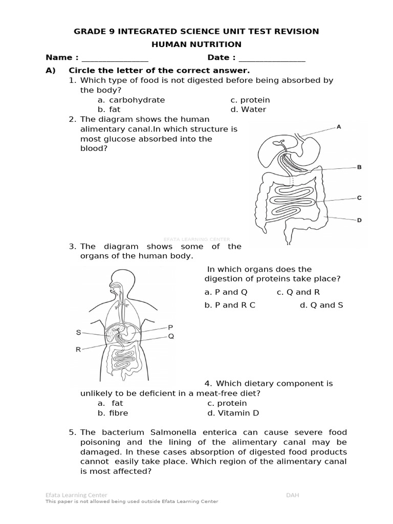 Grade 9 Integrated Science Unit Test Revision Human Nutrition | PDF ...