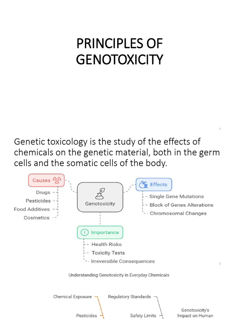 ZLY 315 Principles of Genotoxicity 2024 | PDF | Meiosis | Ploidy