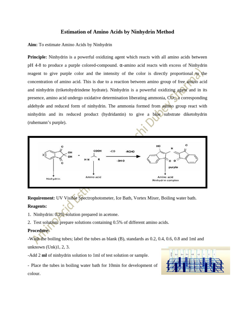Amino Acid Estimation by Ninhydrin | PDF | Chemistry | Chemical Substances