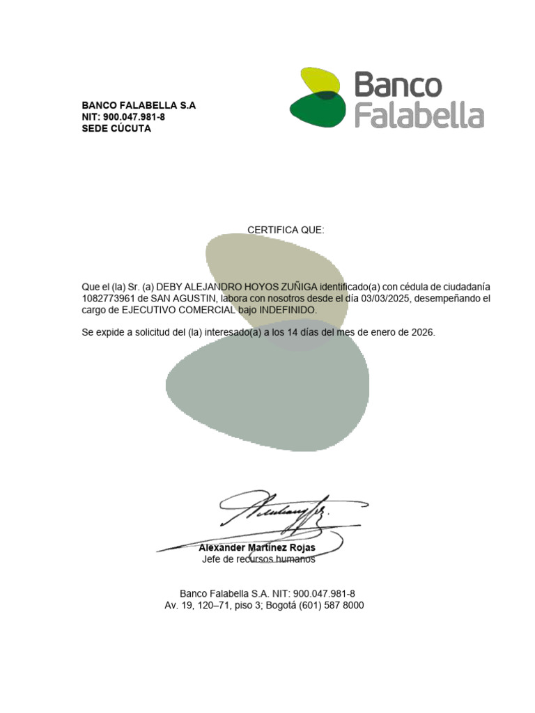 Deby Alejandro Hoyos Zuñiga | PDF