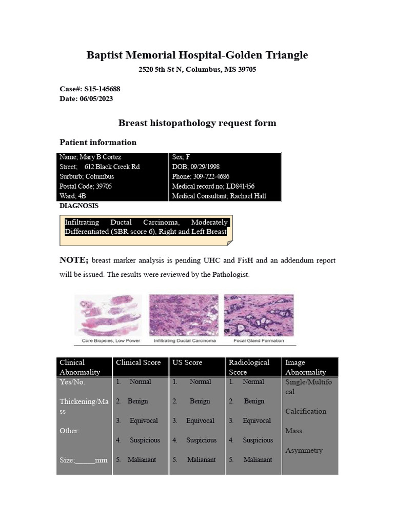 Mary's Breast Pathology Results | PDF