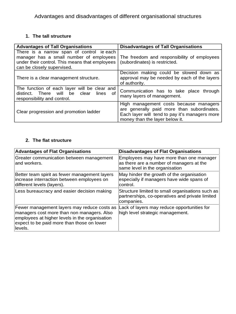 Advantages and Disadvantages of Different Organisational Structures ...
