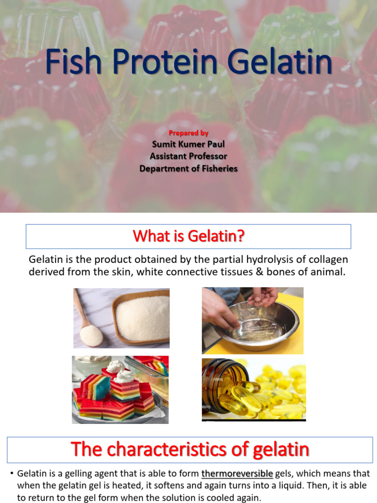 Chapter 2.1 Gelation Properties of Fish Muscle Protein | PDF | Gelatin