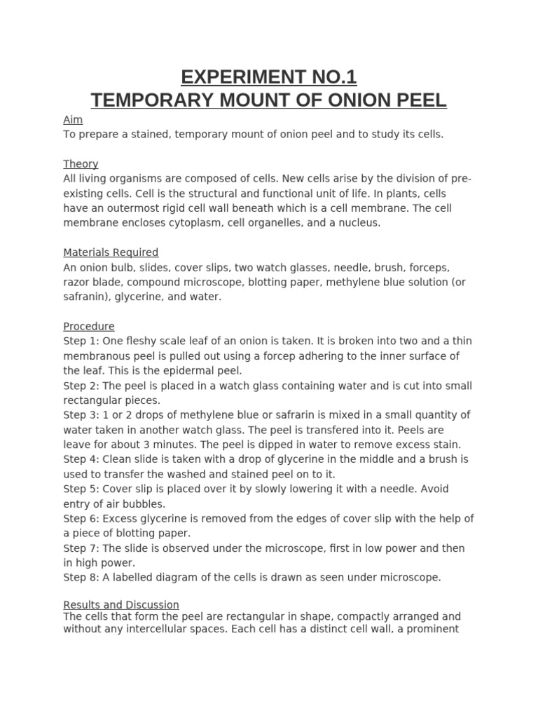 Onion Peel and Human Cheek Cell | PDF | Cell (Biology) | Staining