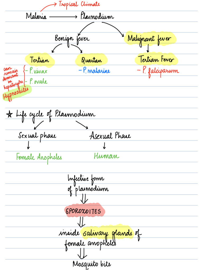 Malaria Pathogenesis and Pharmacotherapy | PDF | Plasmodium Falciparum ...