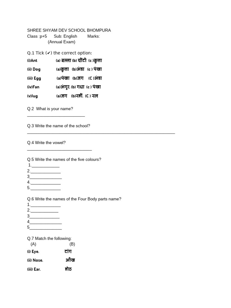 Class P-5 (Annual Exam) English | PDF