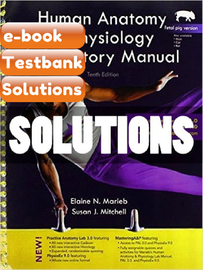 Testbank Solutions Human Anatomy and Physiology Lab Manual Fetal Pig ...