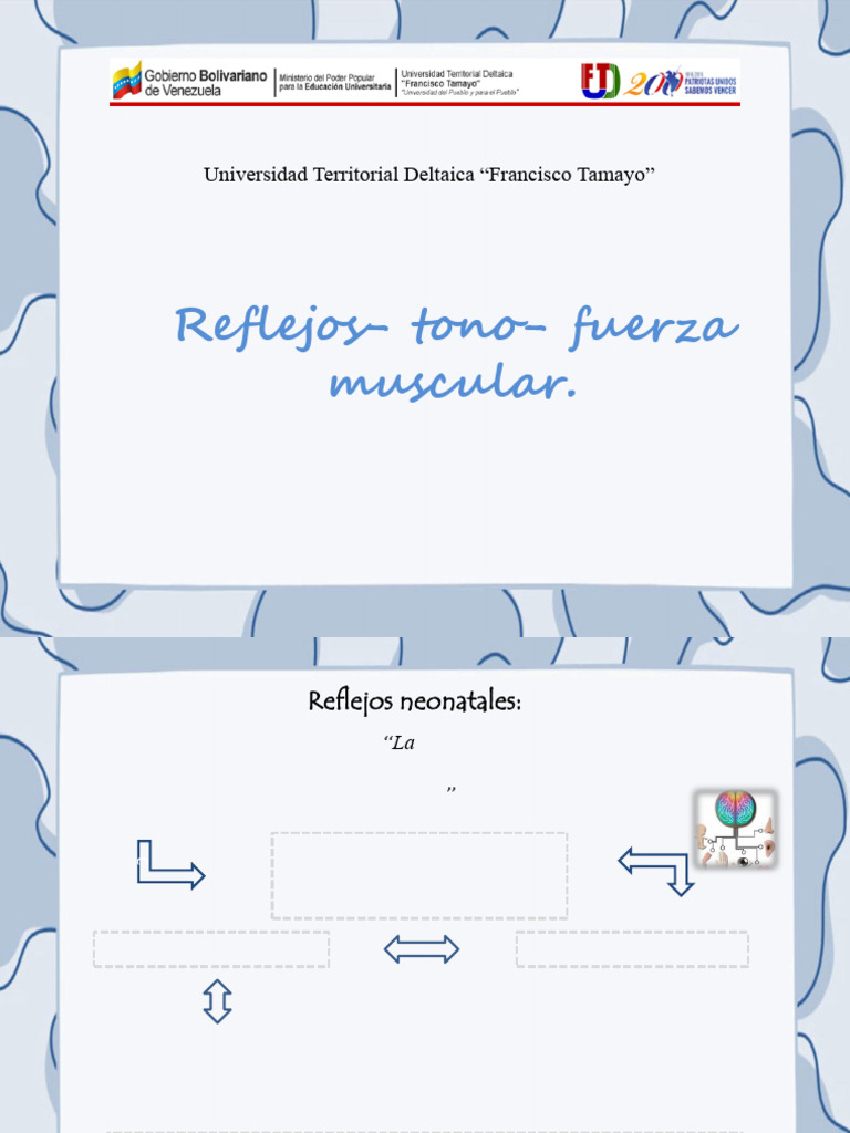 REFLEJOS-TONO-FUERZA MUSCULAR | PDF | Contracción muscular | Músculo