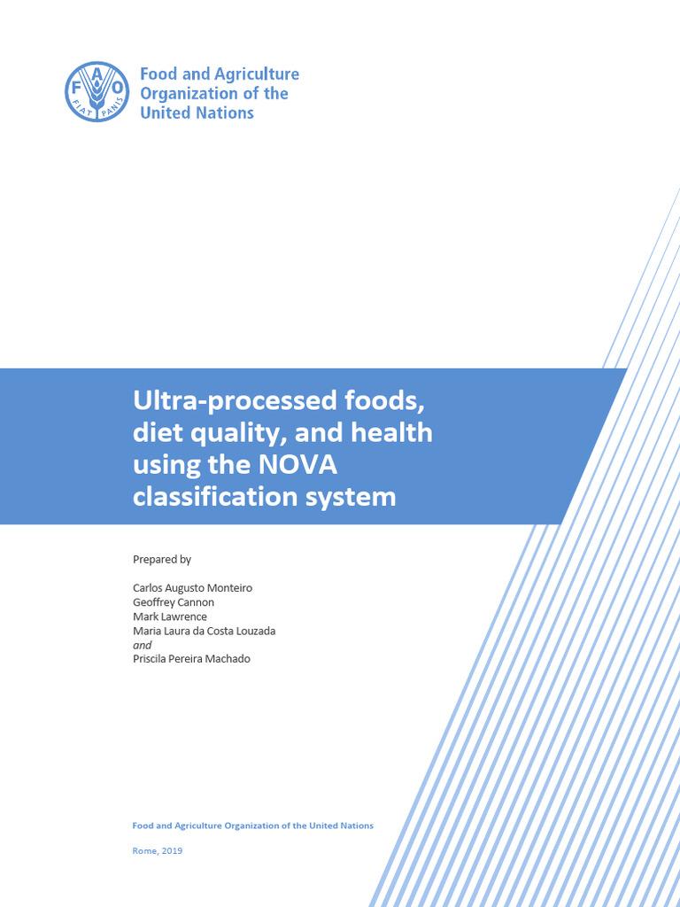 The NOVA Food Classification System and Its Four Food Groups | PDF ...