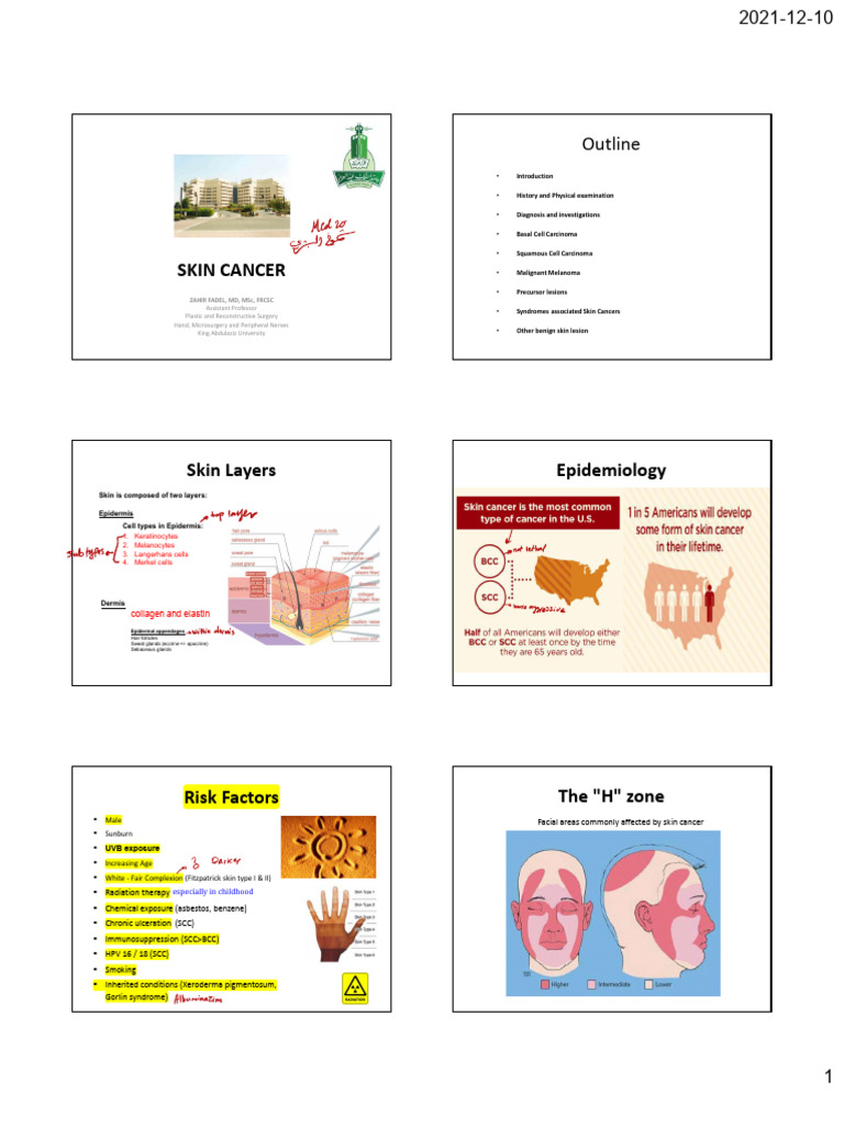L1 Skin Cancer | PDF | Skin | Skin Cancer