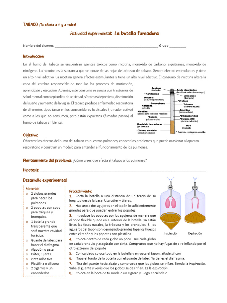 Act Experimental La Botella Fumadora | PDF | Nicotina | Tabaco