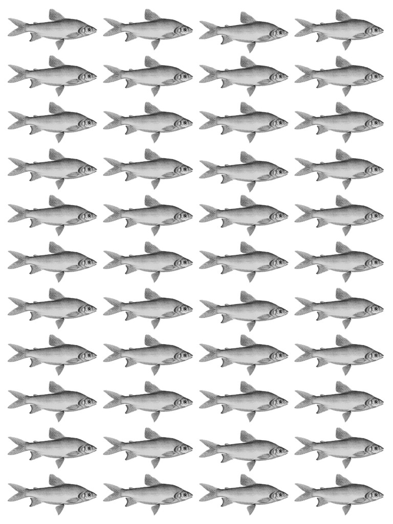 Pensar con los peces capÃ_tulo 2 | PDF | Biodiversidad | Extinción