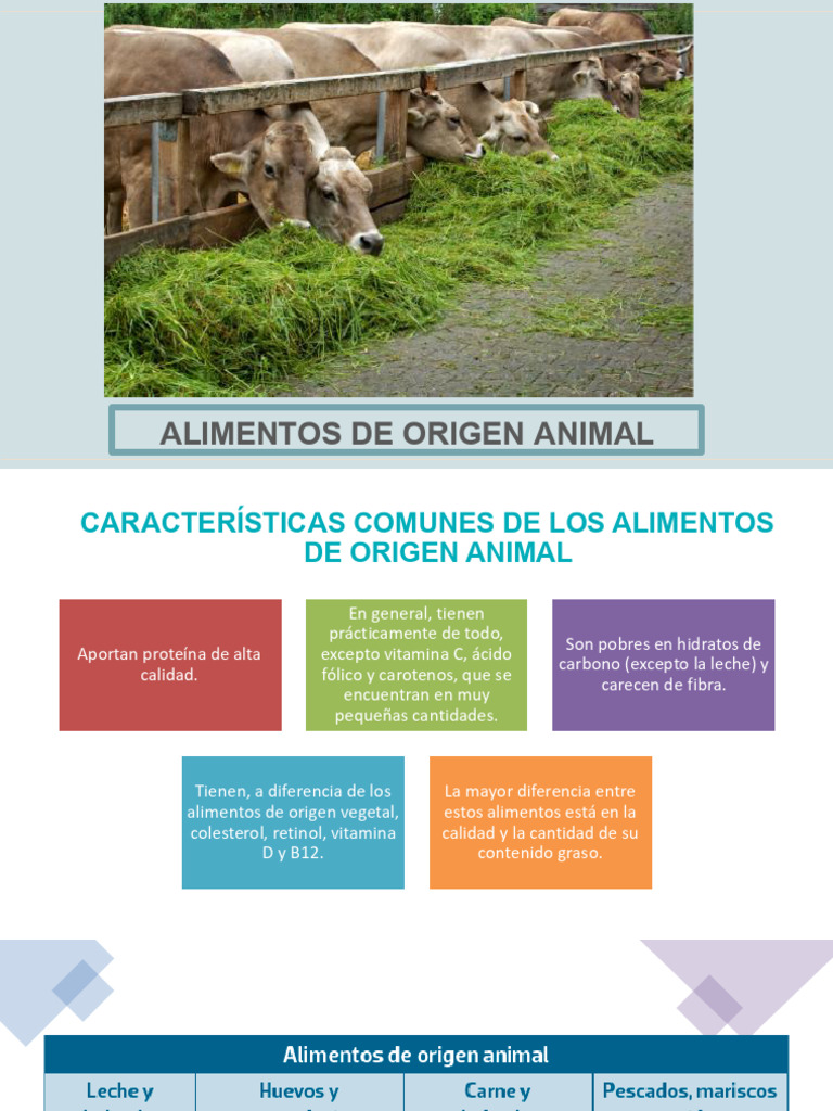 Ali-Equi UD 5 Alimentos de Origen Animal - La Leche | PDF | Leche | Crema
