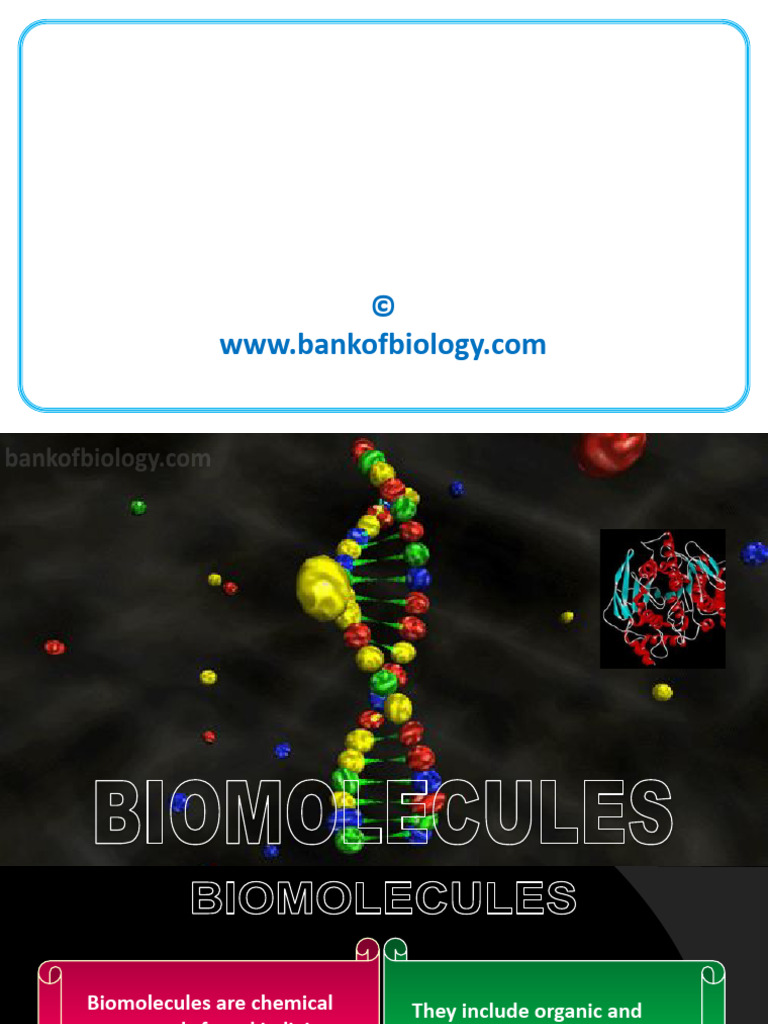 9 biomolecules.ppsx | PDF | Triglyceride | Amino Acid