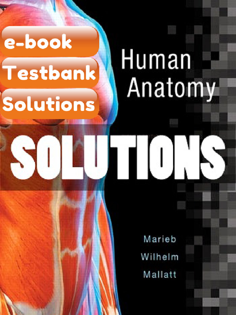 Testbank Solutions Human Anatomy 8 Ed Marieb Fast Download | PDF ...
