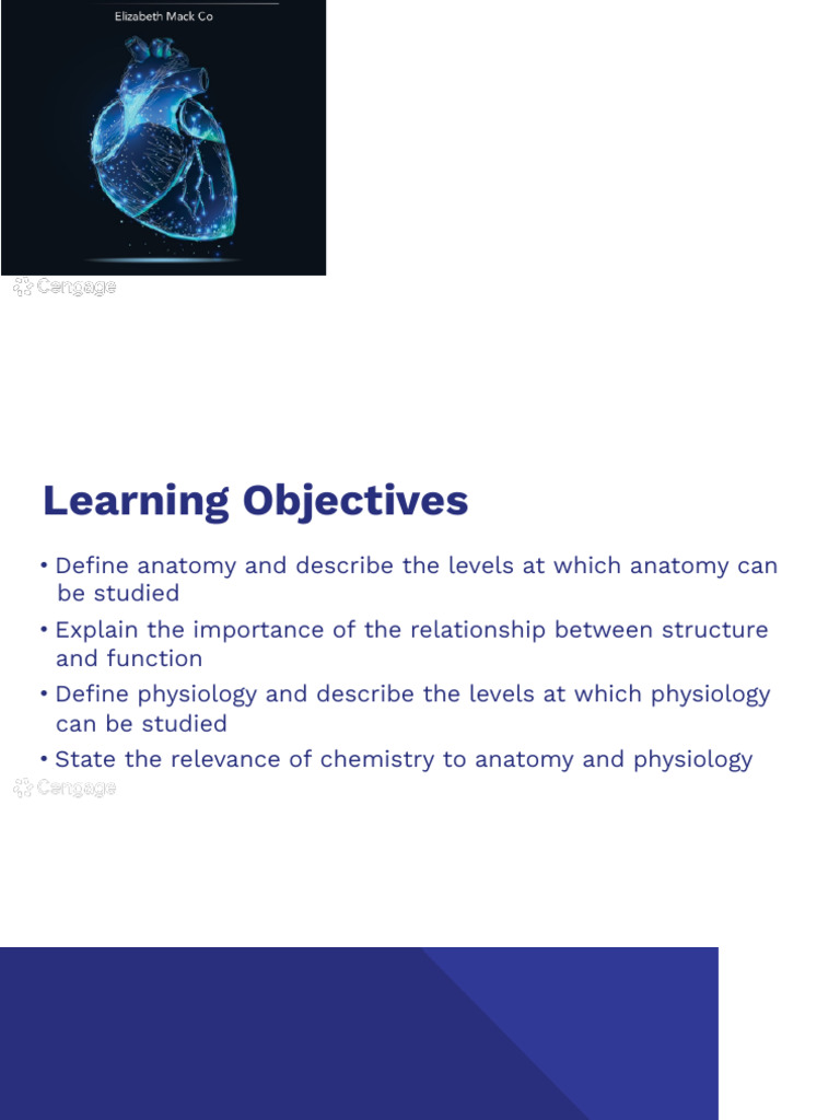 Introduction To The Human Body | PDF | Anatomical Terms Of Location ...