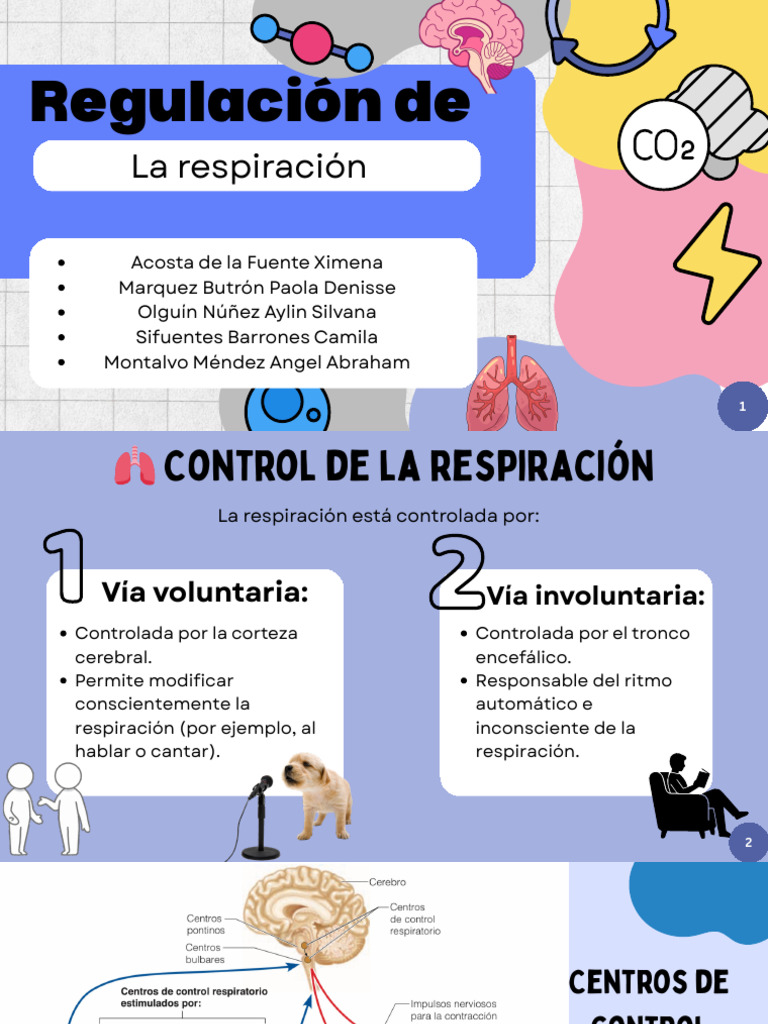 Control de La Respiración | PDF | Sistema respiratorio | Tos
