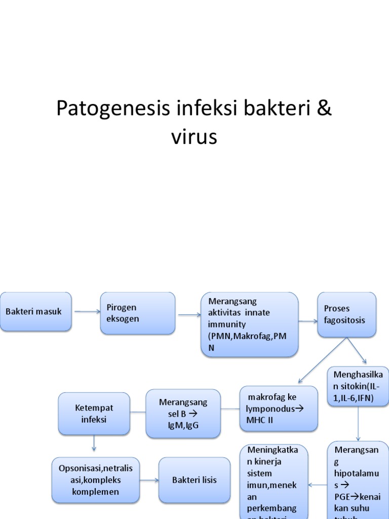 Patogenesis Infeksi Bakteri & Virus Cici Ready | PDF