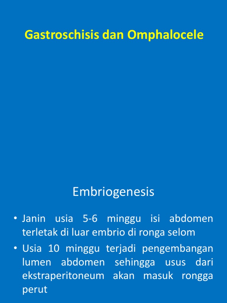 Gastroskisis Dan Omfalokel | PDF | Memasak, Makanan, & Anggur ...