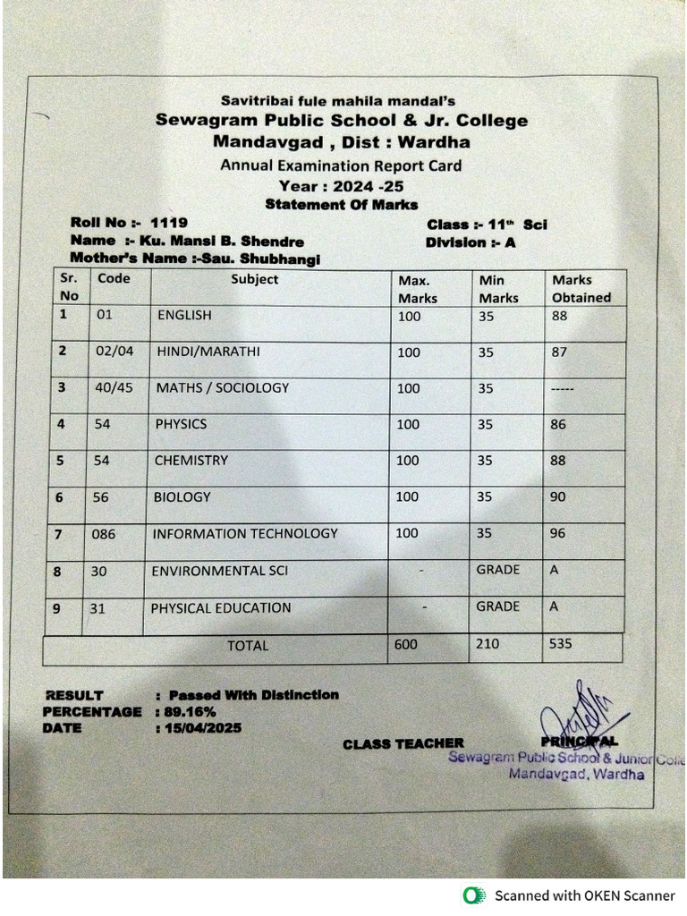 11 TH Marksheet - 2 | PDF