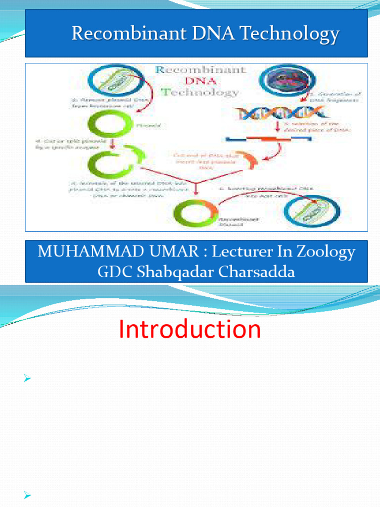 Recombinant DNA Technology | PDF | Recombinant Dna | Vector (Molecular ...