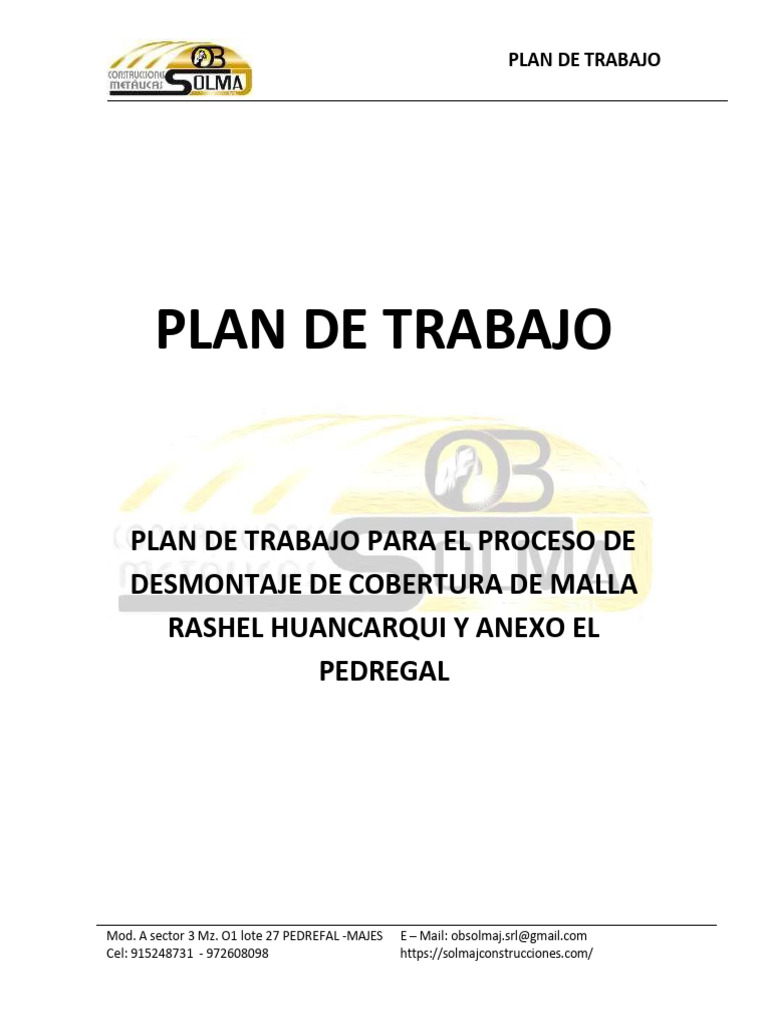 Plan de Trabajo _desmontaje de MALLA RASHELL Llllll | PDF