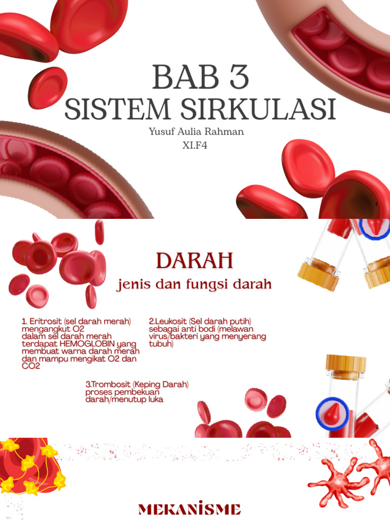 Yusuf Aulia Rahman Sistem Sirkulasi Bab 3 | PDF