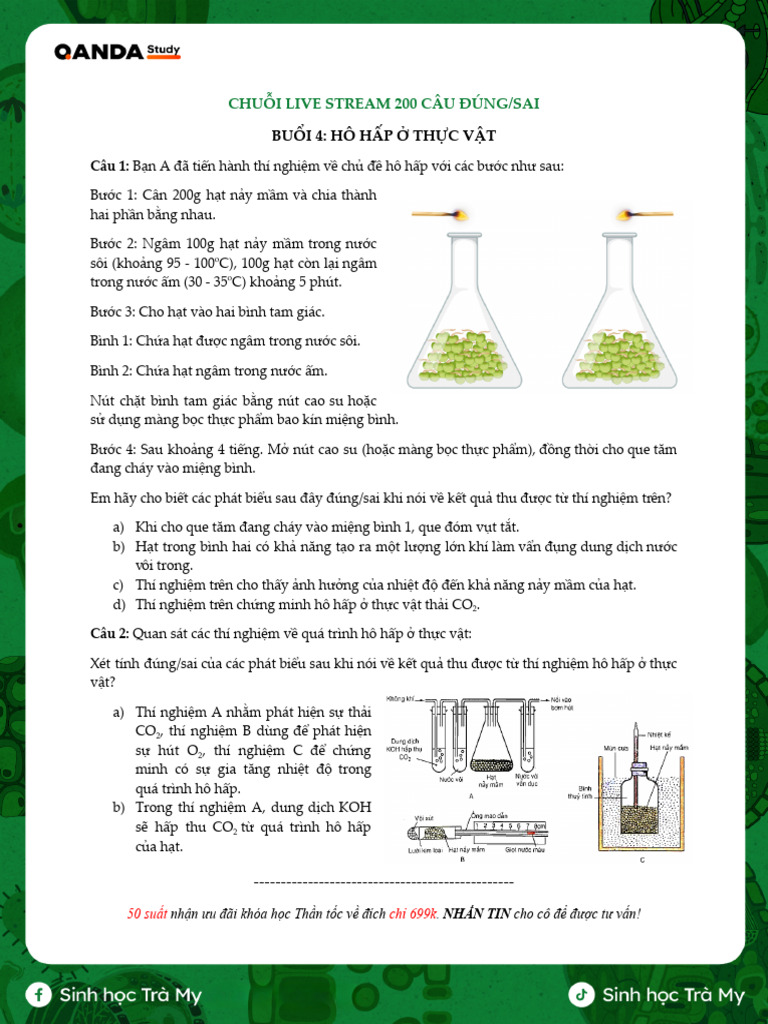 Buoi 4 Ho Hap o Thuc Vat | PDF