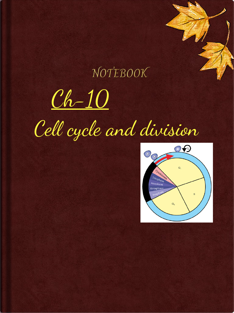 Cell Cycle and Cell Division | PDF