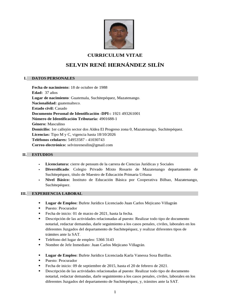 Documento 5 Modelo de Curriculum Selvin | PDF