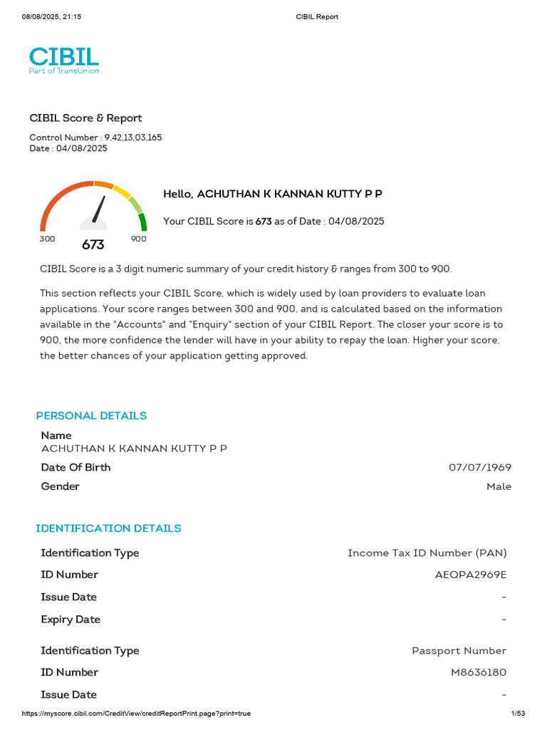 Cibil Report | PDF | Credit | Finance & Money Management