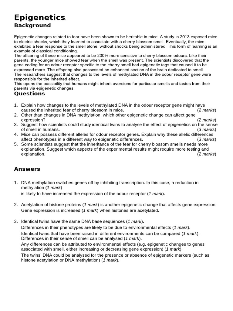 Epigenetics Worksheet | PDF | Epigenetics | Gene Expression