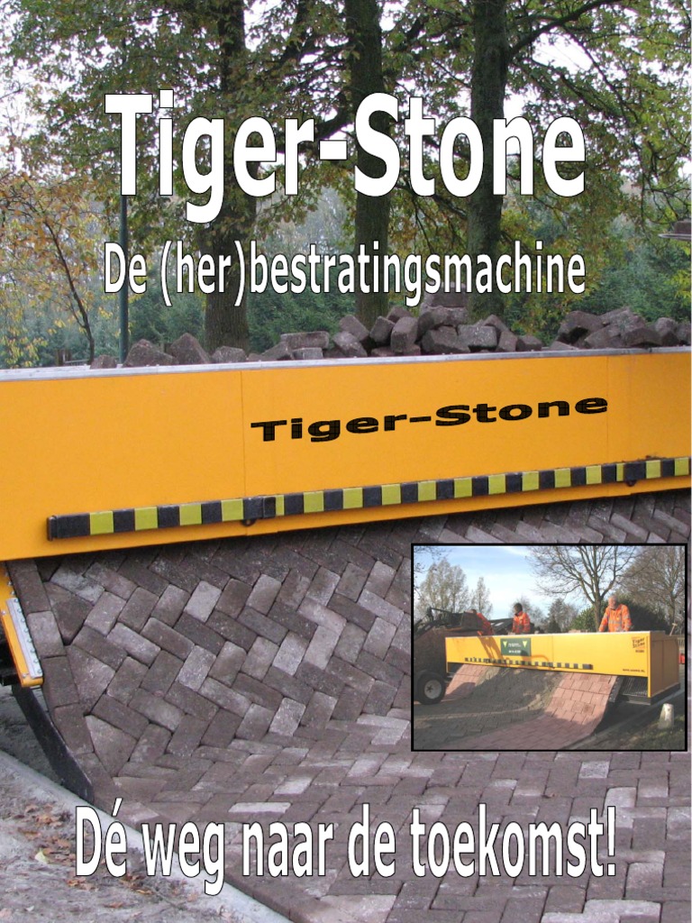 Tiger Stone | PDF