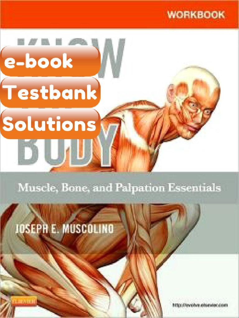 Testbank for Workbook for Know the Body Muscle Bone and Palpation ...