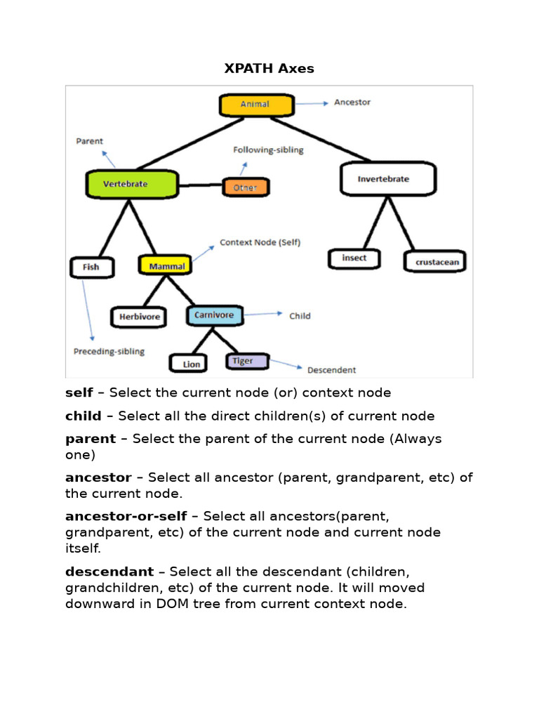 XPATH Axes Explain | PDF | X Path | Document Object Model