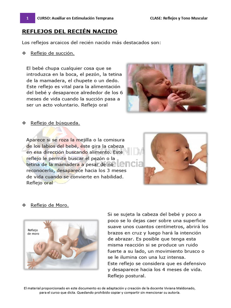 ET. Reflejos Arcaicos. Tono Muscular | PDF | Músculo | Contracción muscular