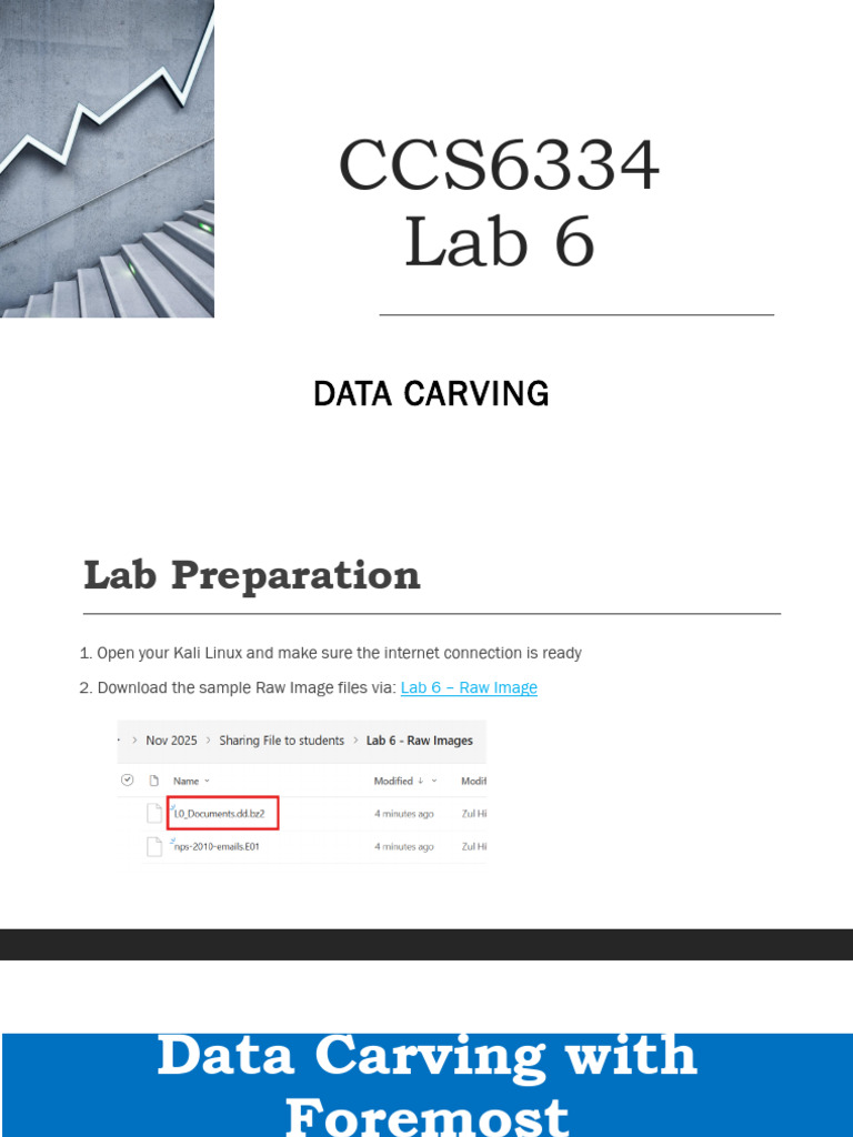 Lab 6 - File Recovery and Data Carving | PDF | Computer File ...