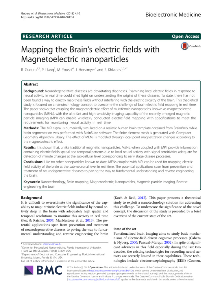 Mapping the Brain’s Electric Fields With MENPs | PDF ...