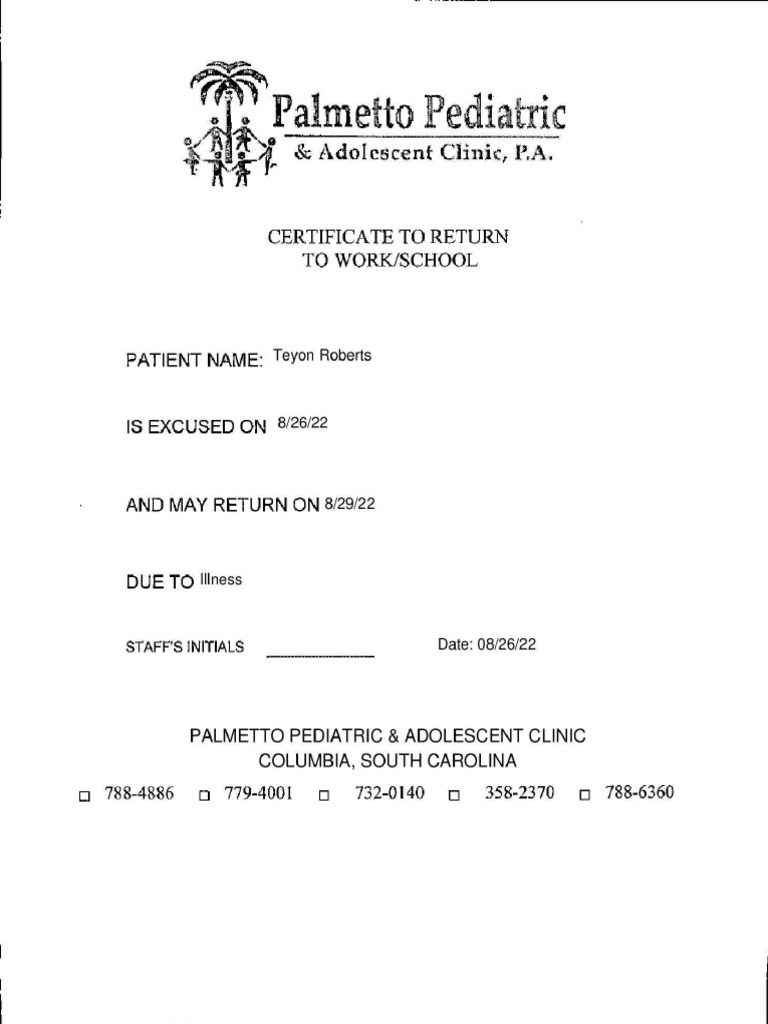 School Excuse Palmetto | PDF