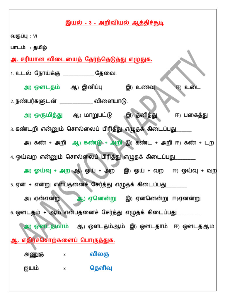 6 TAM UNIT 3 | PDF