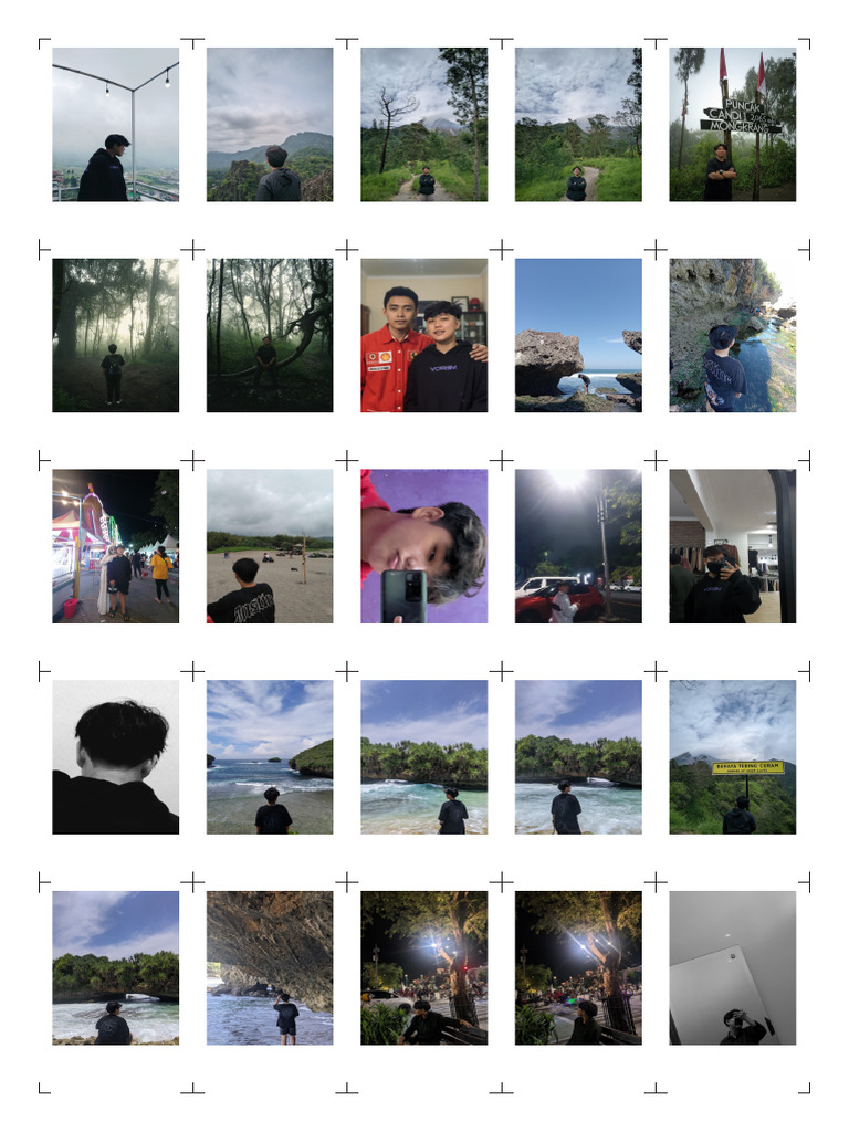 Polaroid | PDF