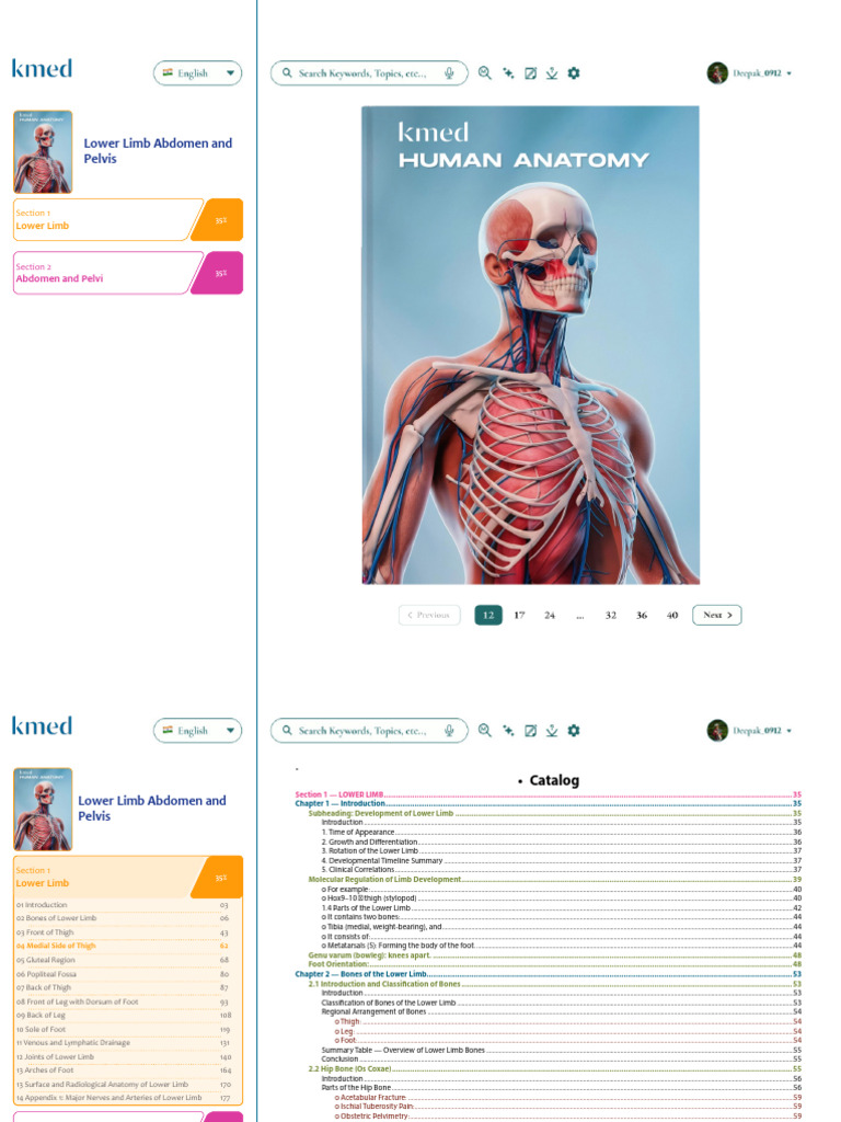 KMed Human Anatomy Volume 2 27-12-25 | PDF | Human Leg | Pelvis