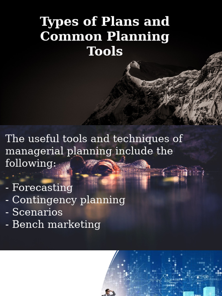 Types of Plans and Common Planning Tools | PDF | Benchmarking ...