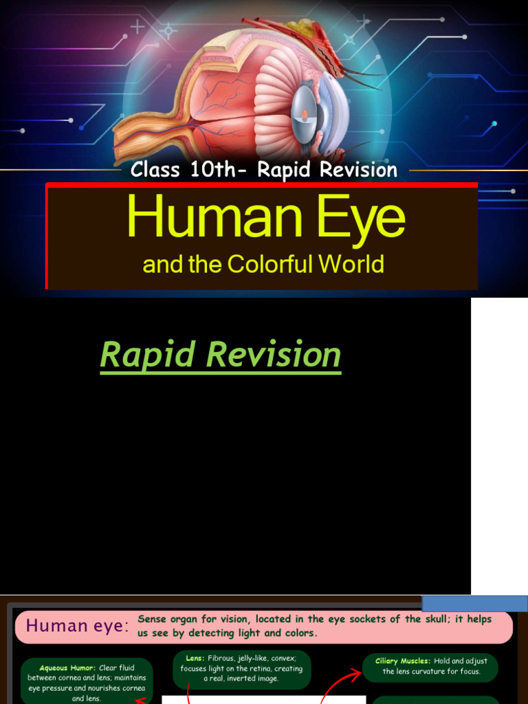 Rapid Revision - Human Eye and The Colourful World | PDF | Eye | Human Eye