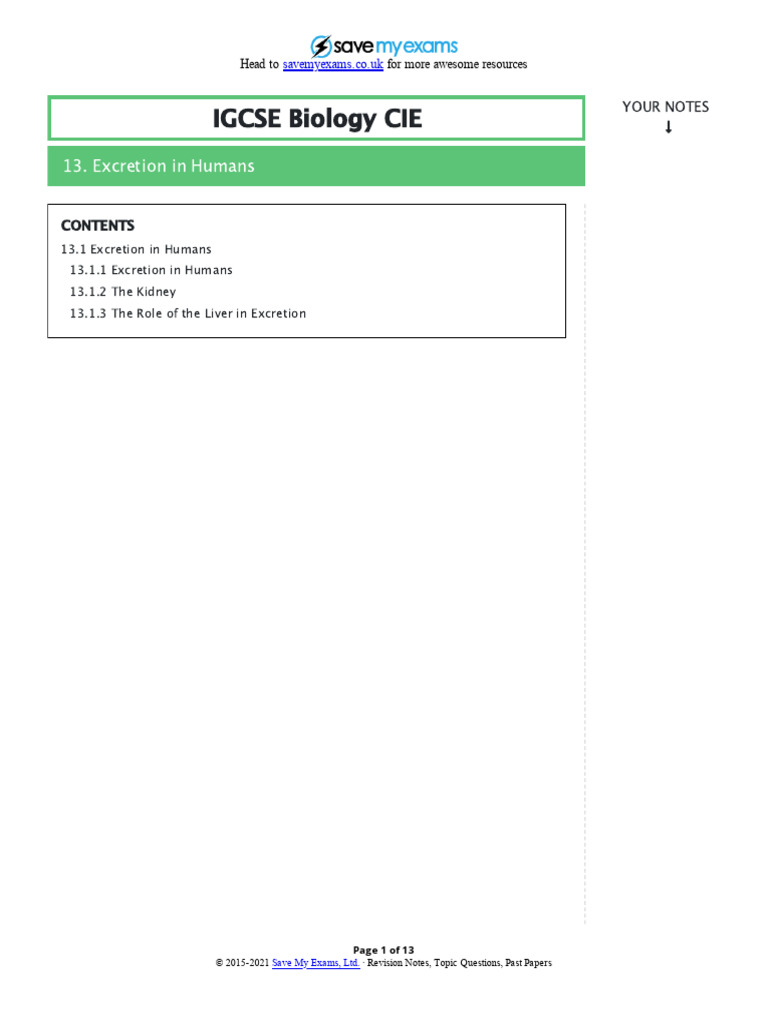 13. Excretion in Humans | PDF | Kidney | Excretion