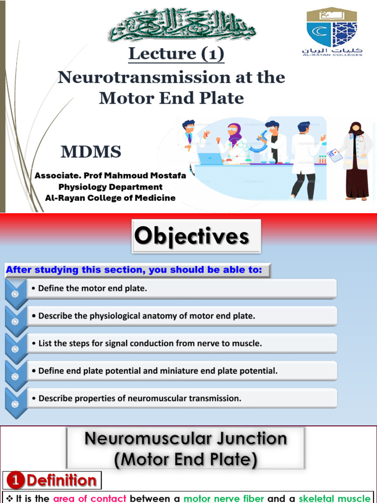 L1. Neurotransmission at the Motor End Plate Muscle Action Potential (1 ...